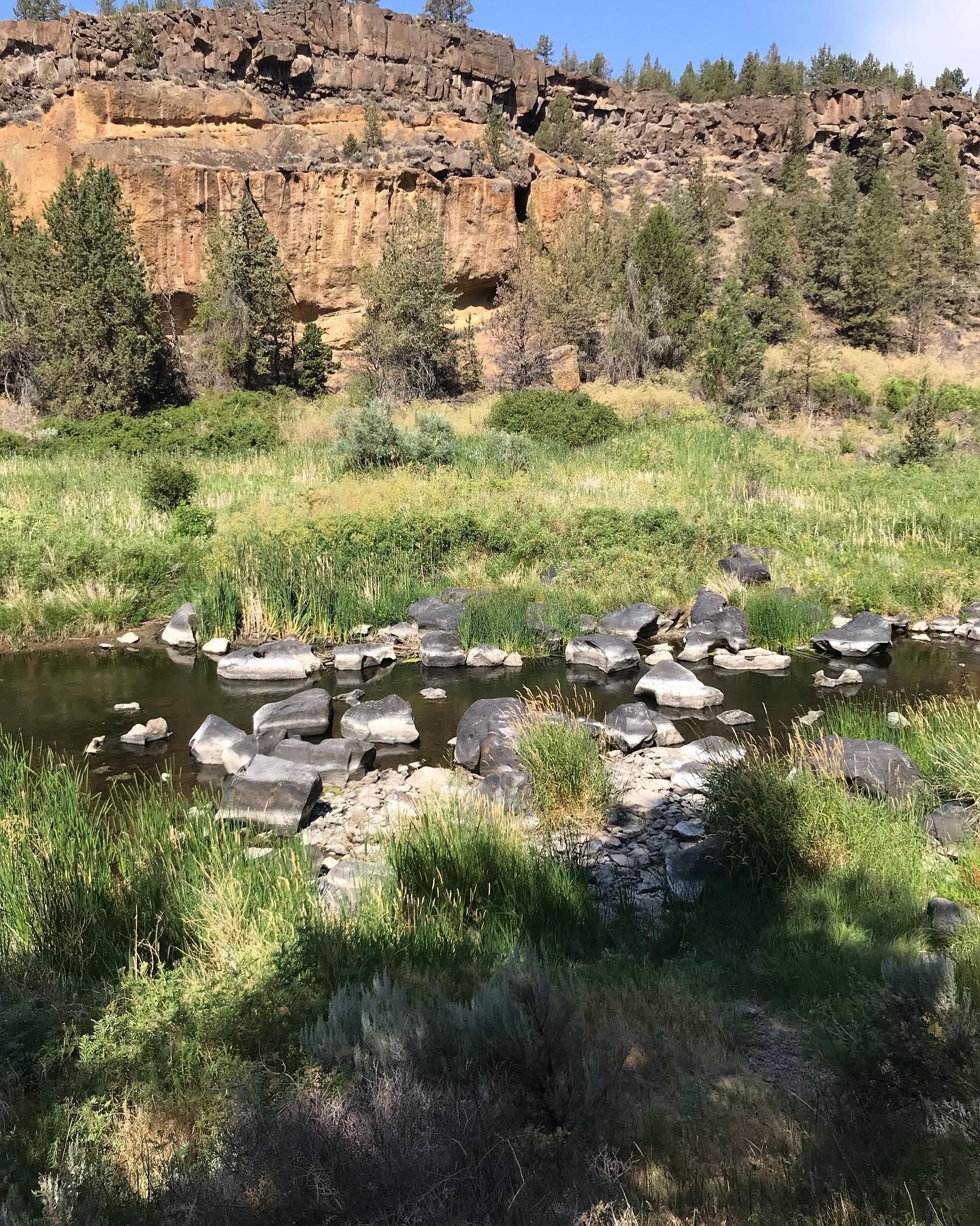 Only Natural – Katie Singer